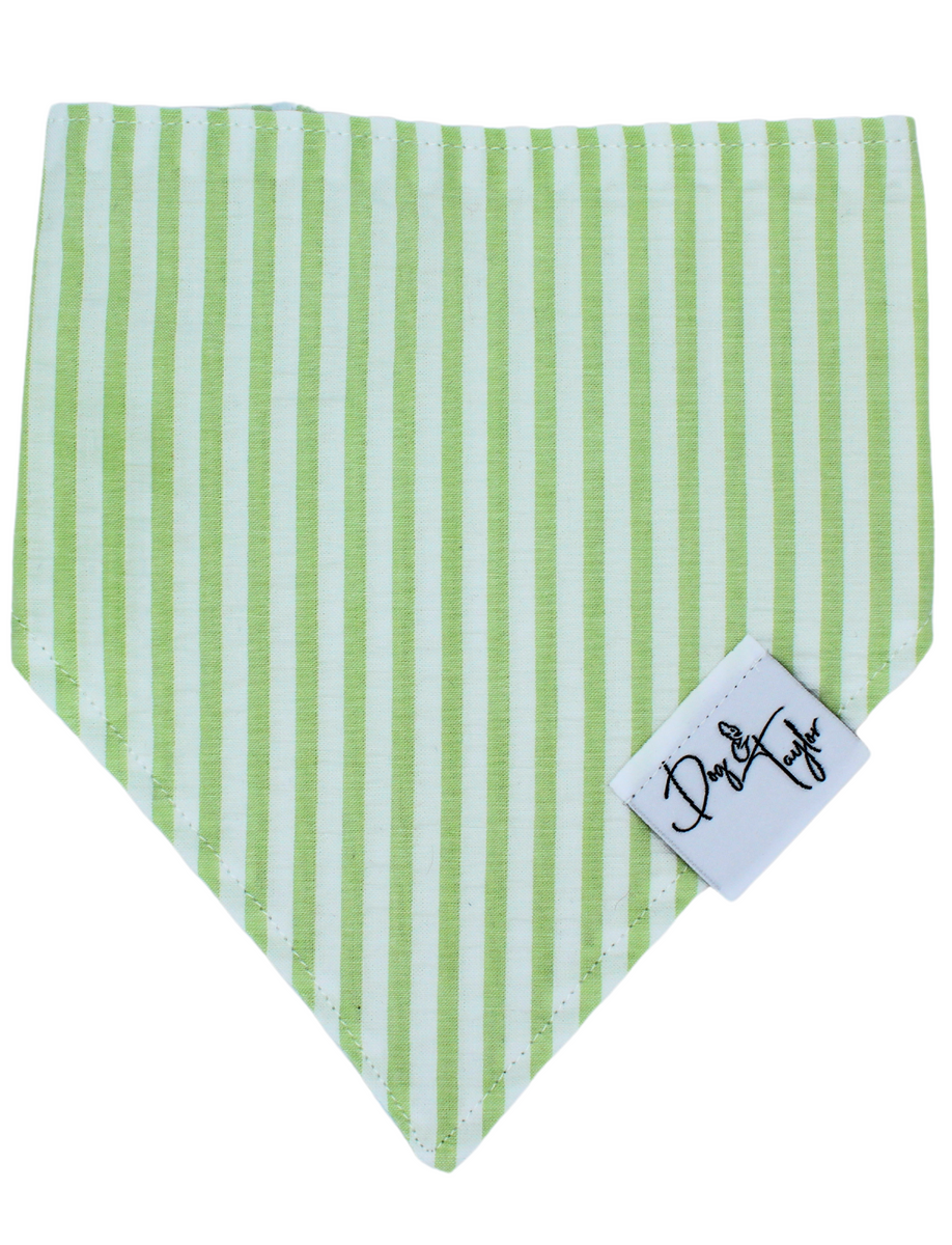 Key Lime Dog Bandana | Preppy Seersucker Bandana | Dog & Taylor® – DOG ...
