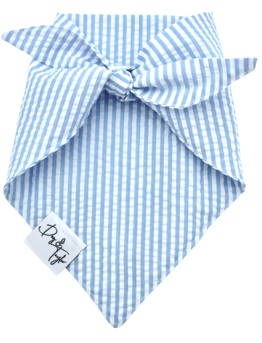 Preppy Light Blue Dog Bandana – DOG & TAYLOR